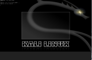 วิธีการติตตั้ง Kali Linux บน VMware vsphere | AVESTA : Mobile, Web and ...